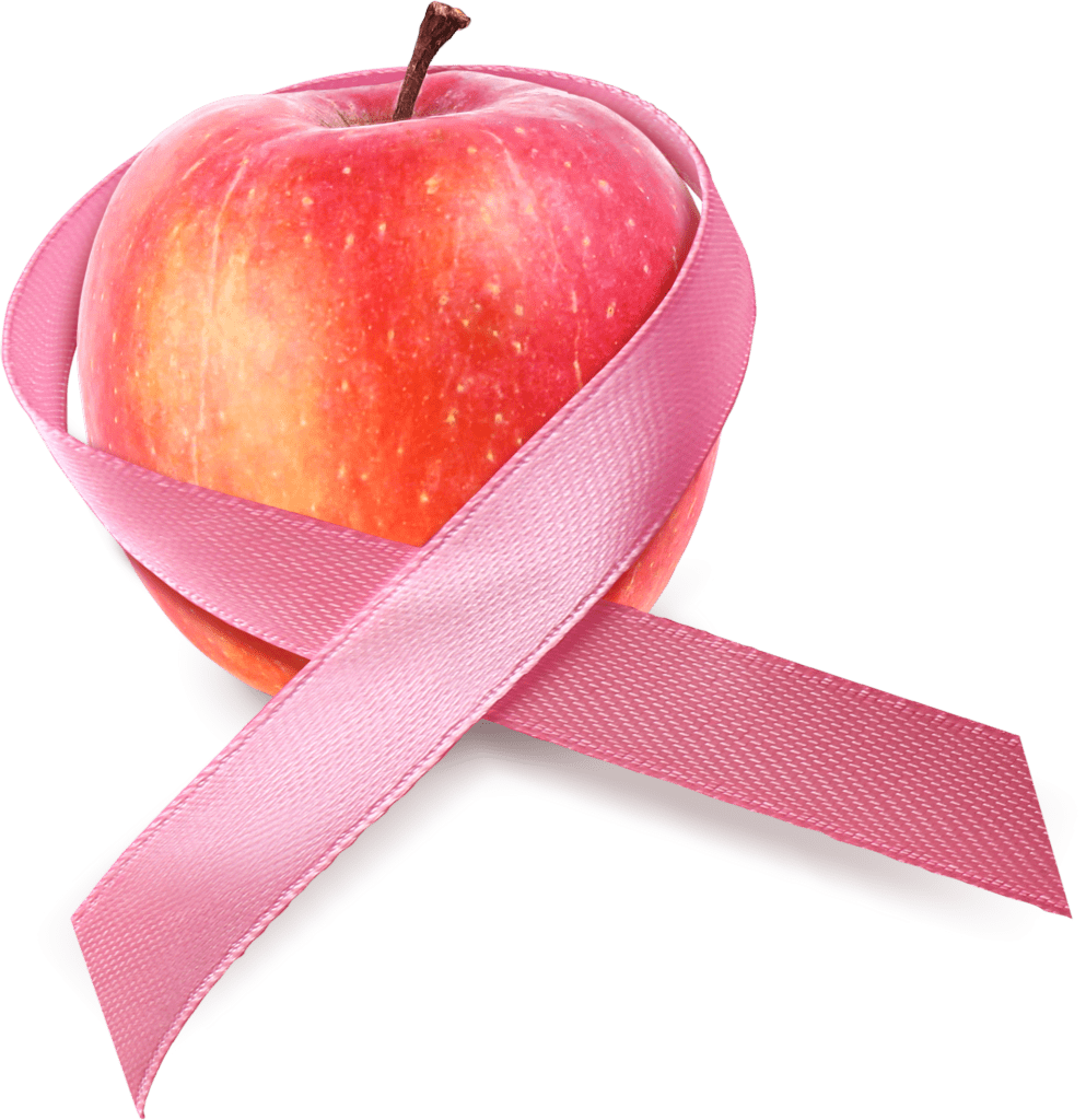 SENECA Apple Chips | 6 Crispy & Crunchy Chip Flavors